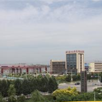 Predispersed rubber vulcanizing accelerator DTDM-80 - Equipmentimes.com